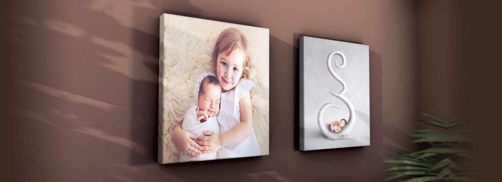 Graphistudio | Wall Art Canvas Wrap | Redefine the classic canvas