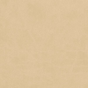 Graphistudio | Gobook: a blend of quality, convenience and beauty