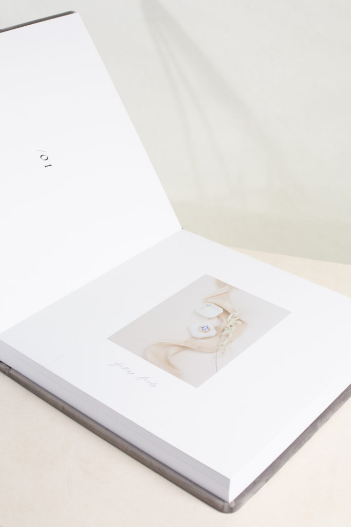 Magnolia - Graphistudio