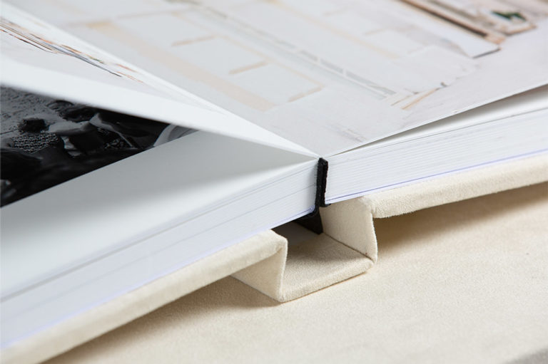 Magnolia - Graphistudio