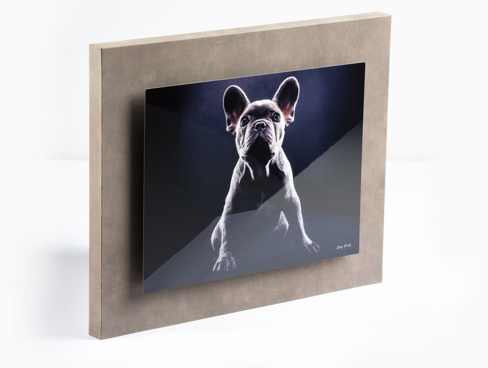 Quadra Float - Graphistudio