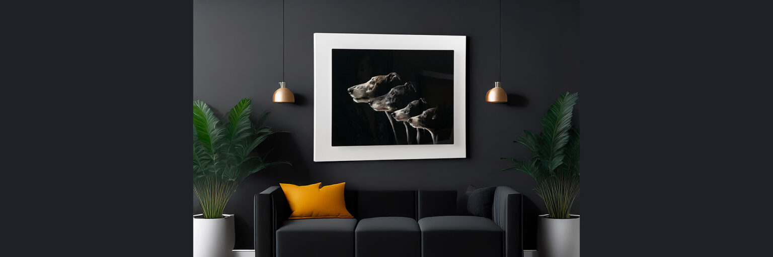 Quadra Float - Graphistudio